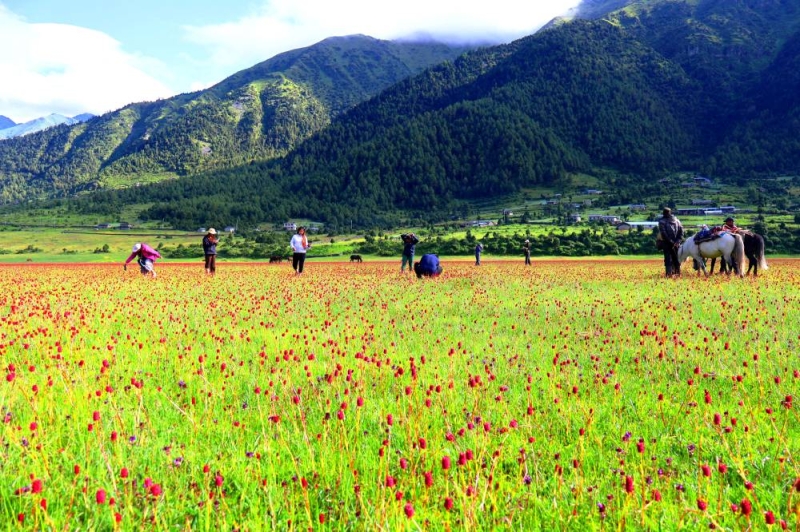 Dhorpatan sees 23,000 tourist arrivals in a year - The Himalayan Times ...