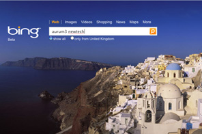 Microsoft on a high with Bing success - The Himalayan Times - Nepal's ...