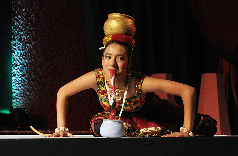 Artiste in action - The Himalayan Times - Nepal's No.1 English Daily ...