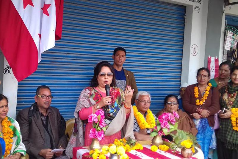 Arzu Rana Deuba falls behind in preliminary Kailali parliamentary race ...