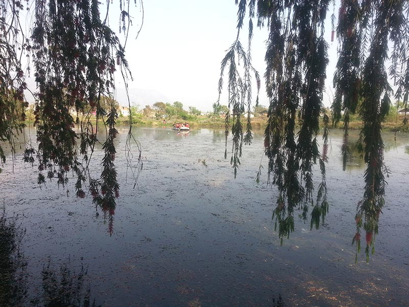 Bulbul Lake in need of conservation - The Himalayan Times - Nepal's No ...