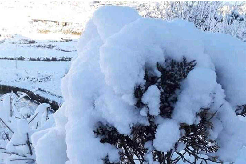 Photo feature: Snowfall in Dolakha - The Himalayan Times - Nepal's No.1 ...